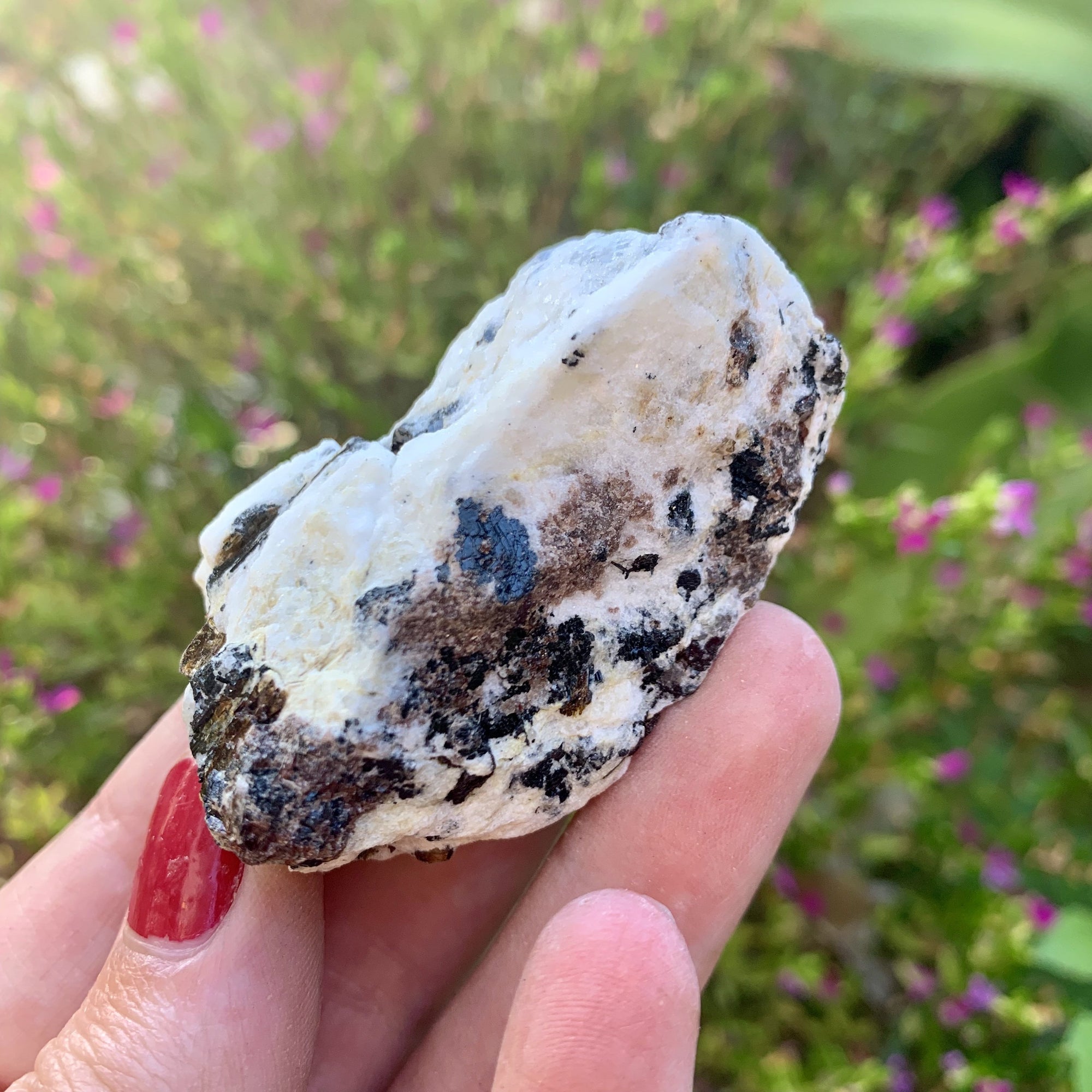 astrophyllite crystal